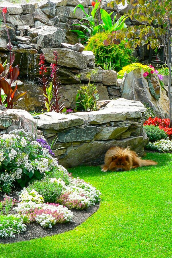 Gallery - Creative Roots Landscaping